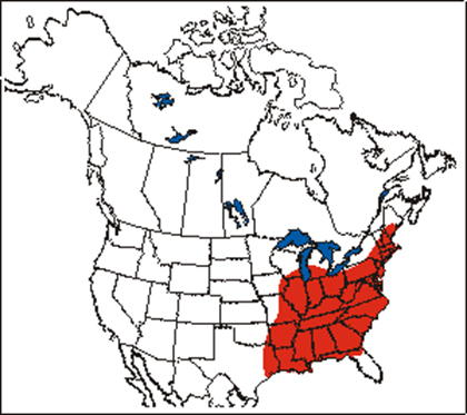 Programme de rétablissement de l'alétris farineux (Aletris farinosa) au ...