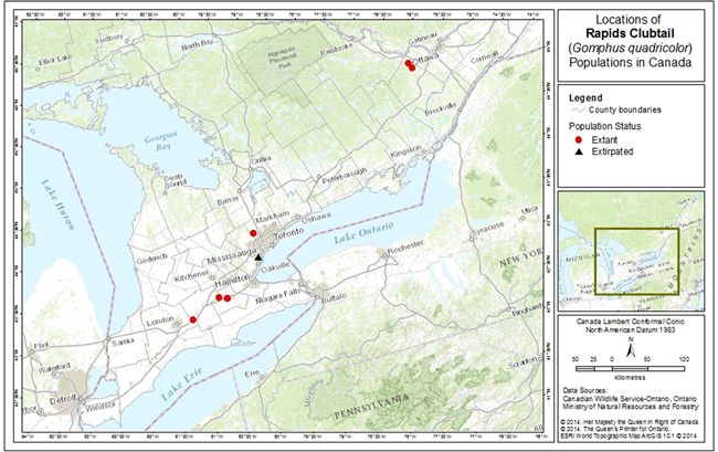 Recovery Strategy for the Rapids Clubtail (Gomphus quadricolor) in ...