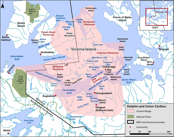 Management Plan for the Dolphin and Union Caribou (Rangifer tarandus ...