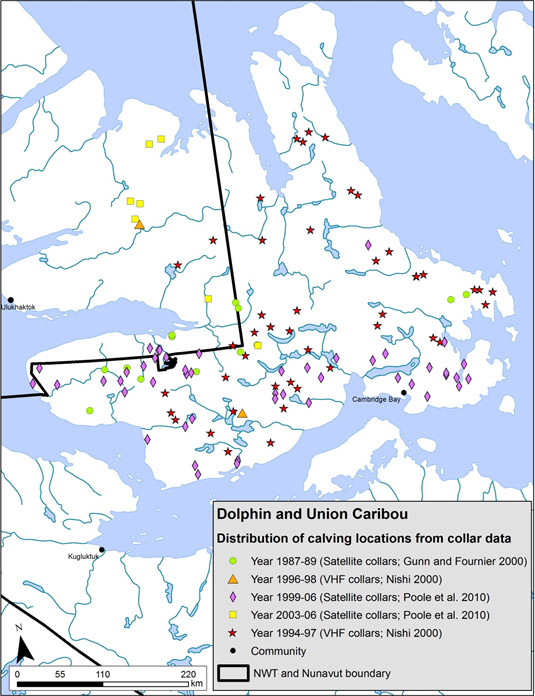 Management Plan for the Dolphin and Union Caribou (Rangifer tarandus ...