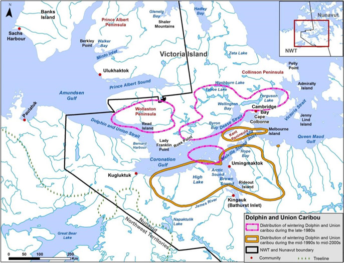 Management Plan for the Dolphin and Union Caribou (Rangifer tarandus ...
