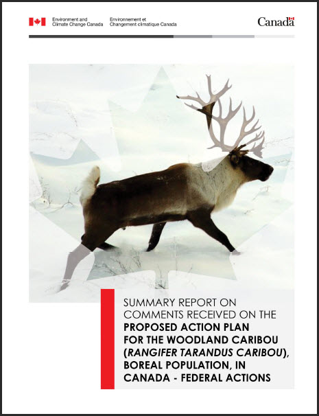 Woodland caribou (Rangifer tarandus caribou), boreal population ...