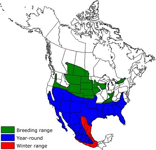 COSEWIC Assessment and Status Report on the Loggerhead Shrike (Lanius ...