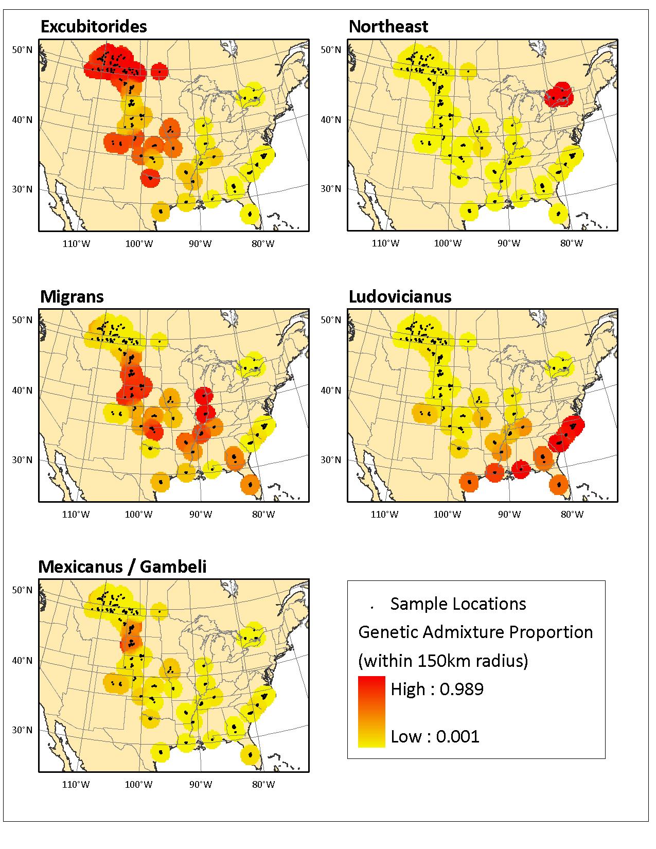 COSEWIC Assessment and Status Report on the Loggerhead Shrike (Lanius ...