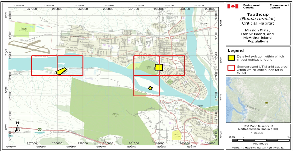 Recovery Strategy for the Toothcup (Rotala ramosior) in Canada - 2014 ...