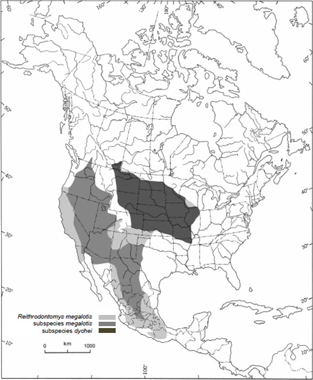 Management Plan for the Western Harvest Mouse Megalotis Subspecies ...