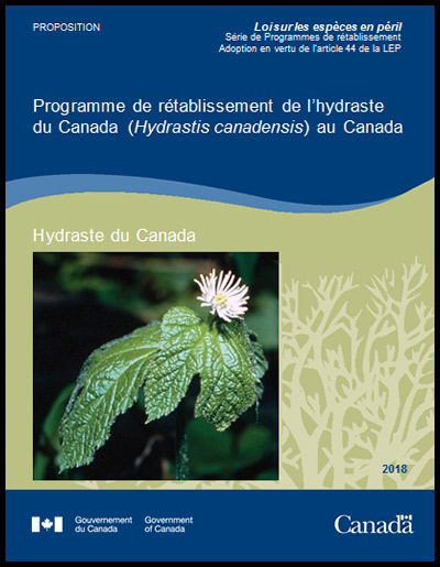 Programme de rétablissement de l’hydraste du Canada (Hydrastis ...