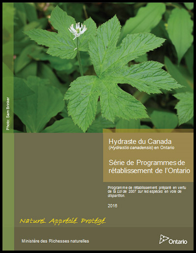Programme de rétablissement de l’hydraste du Canada (Hydrastis ...
