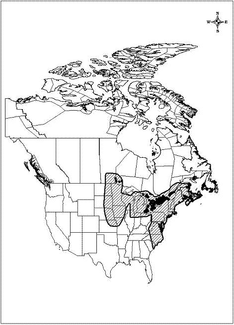 COSEWIC Assessment and Update Status Report on the Banded Killifish ...