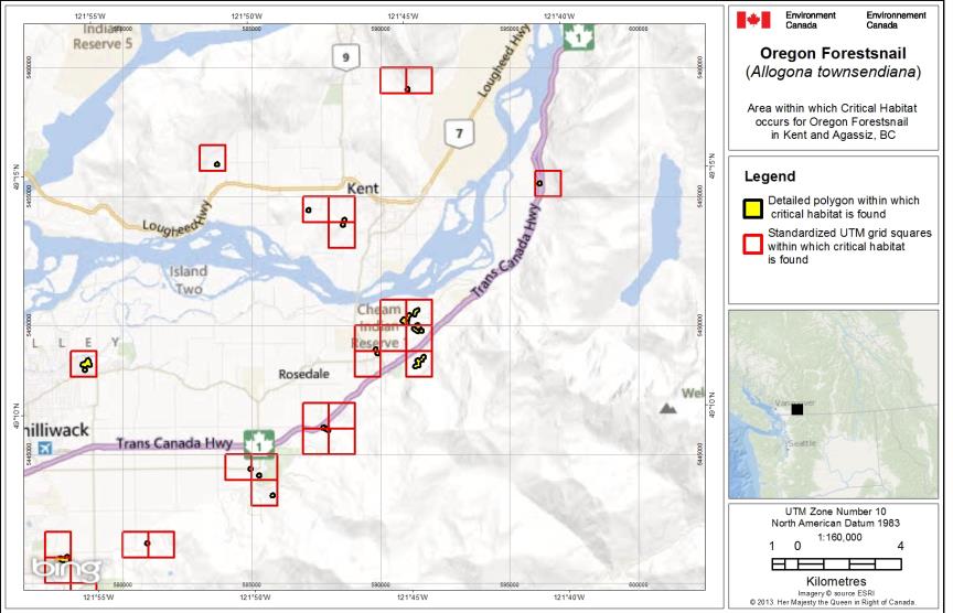 Recovery Strategy for the Oregon Forestsnail (Allogona townsendiana) in ...