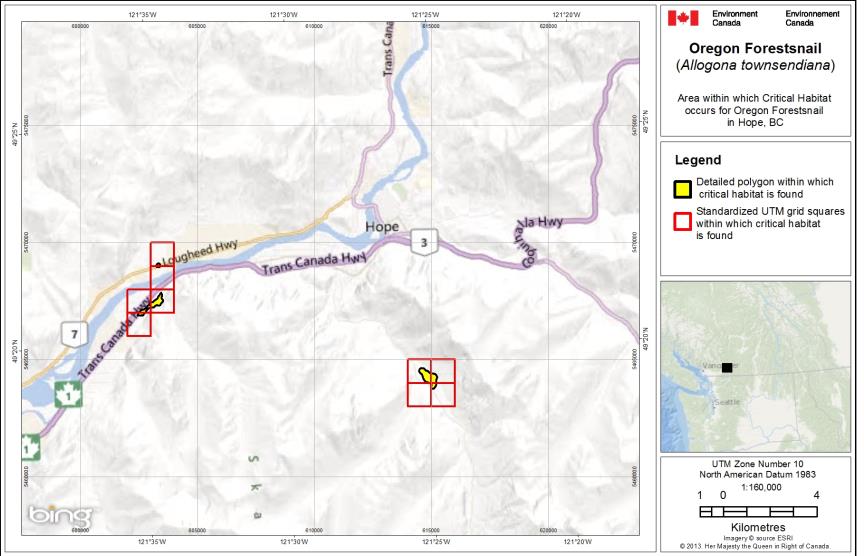 Recovery Strategy for the Oregon Forestsnail (Allogona townsendiana) in ...
