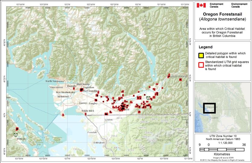 Recovery Strategy for the Oregon Forestsnail (Allogona townsendiana) in ...