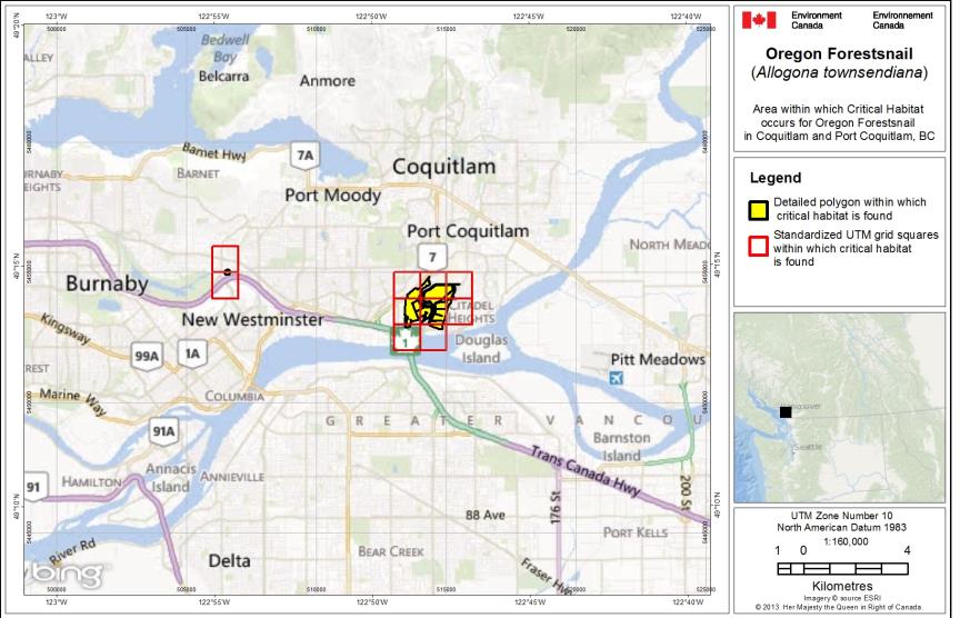 Recovery Strategy for the Oregon Forestsnail (Allogona townsendiana) in ...