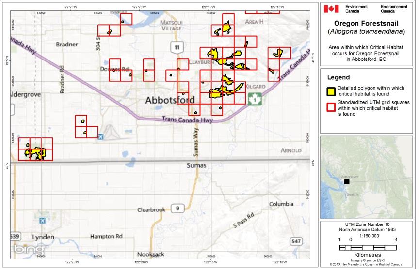 Recovery Strategy for the Oregon Forestsnail (Allogona townsendiana) in ...