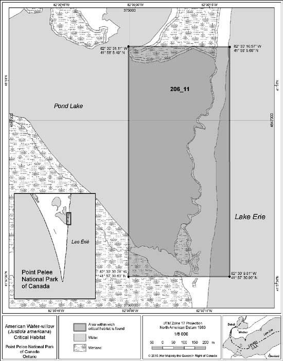 Recovery Strategy for the American Water-willow (Justicia americana) in ...