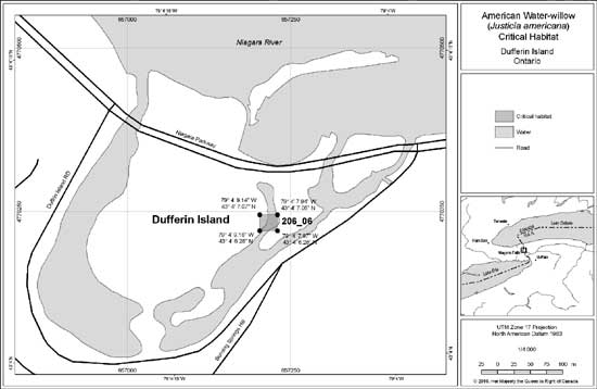 Recovery Strategy for the American Water-willow (Justicia americana) in ...