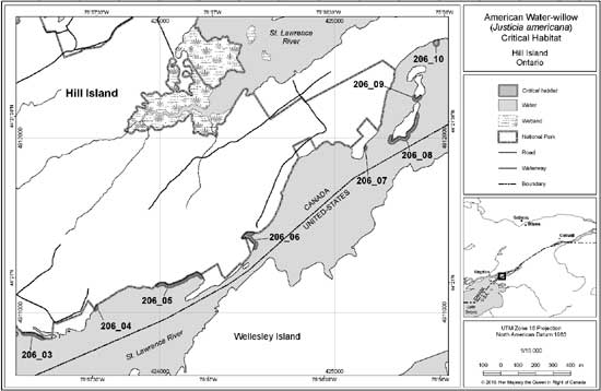 Recovery Strategy for the American Water-willow (Justicia americana) in ...