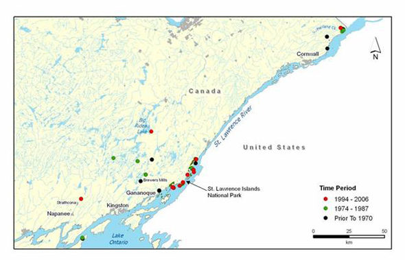 Management Plan for the Bridle Shiner (Notropis bifrenatus) in Canada ...