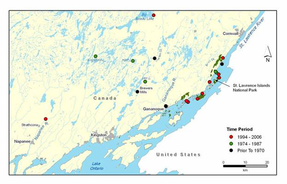 Management Plan for the Bridle Shiner (Notropis bifrenatus) in Canada ...