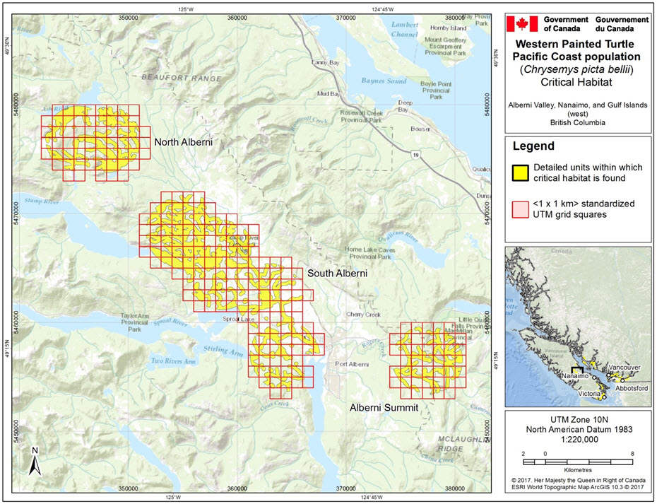 Recovery Strategy for the Western Painted Turtle (Chrysemys picta ...