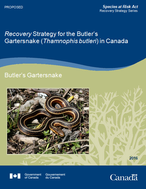 Recovery Strategy for the Butler's Gartersnake (Thamnophis butleri) in ...