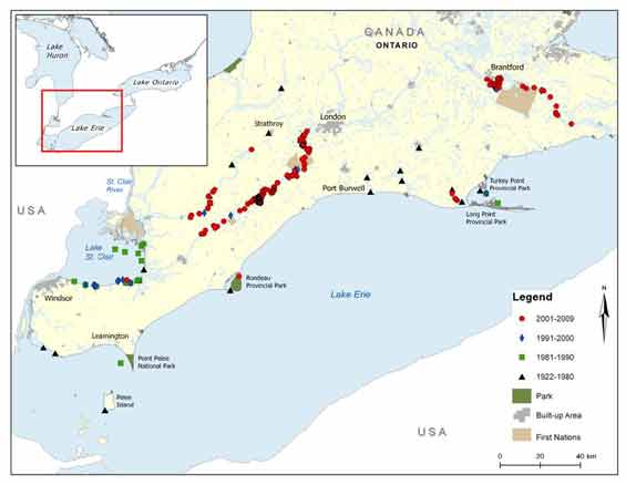 Recovery Strategy for the Eastern Sand Darter (Ammocrypta pellucida) in ...