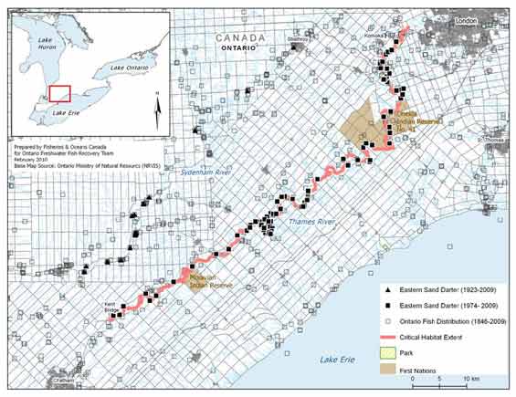 Recovery Strategy for the Eastern Sand Darter (Ammocrypta pellucida) in ...