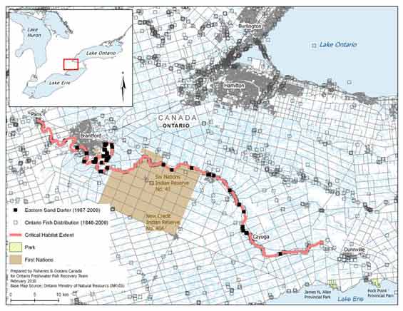 Recovery Strategy for the Eastern Sand Darter (Ammocrypta pellucida) in ...