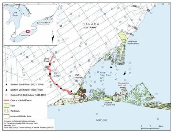 Recovery Strategy for the Eastern Sand Darter (Ammocrypta pellucida) in ...