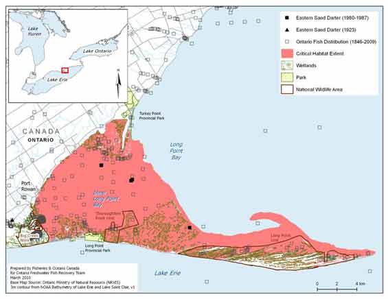 Recovery Strategy for the Eastern Sand Darter (Ammocrypta pellucida) in ...