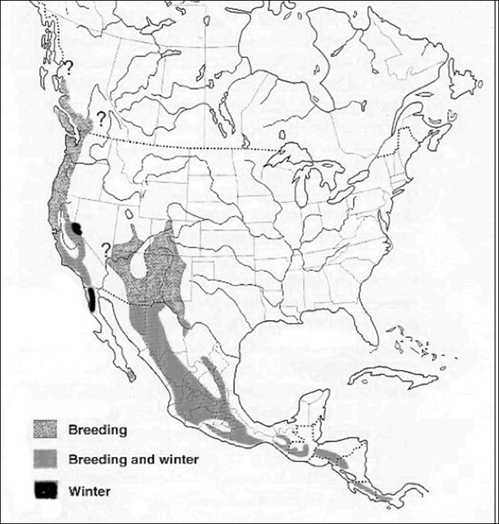 Band-tailed pigeon (Patagioenas fasciata): proposed management plan ...