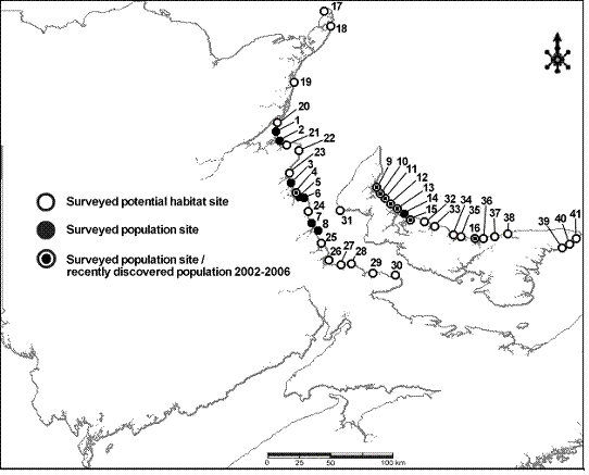 Beach pinweed (Lechea maritima) COSEWIC assessment and status report ...