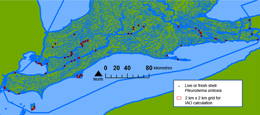 Round pigtoe (Pleurobema sintoxia ): COSEWIC status appraisal summary ...