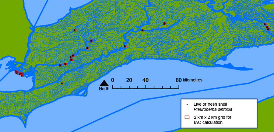Round pigtoe (Pleurobema sintoxia ): COSEWIC status appraisal summary ...