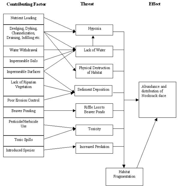 Nooksack dace (Rhinichthys cataractae) recovery strategy: chapter 3 ...