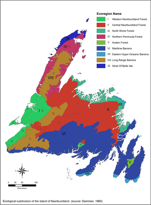 Ecoregions Of Newfoundland