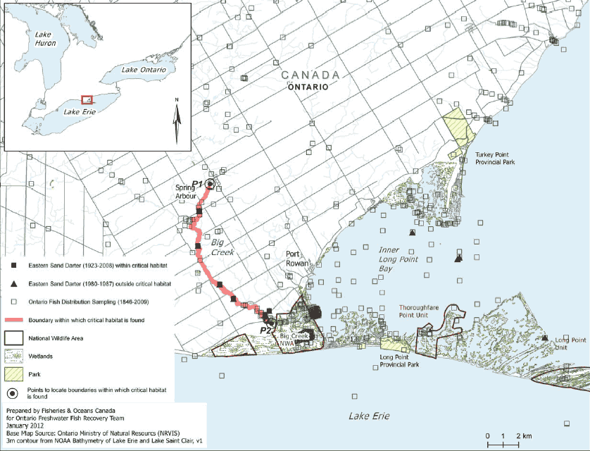 Eastern sand darter (Ammocrypta pellucida), Ontario: recovery strategy ...