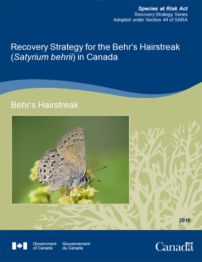 Behr’s hairstreak (Satyrium behrii) recovery strategy 2016: part 1 ...