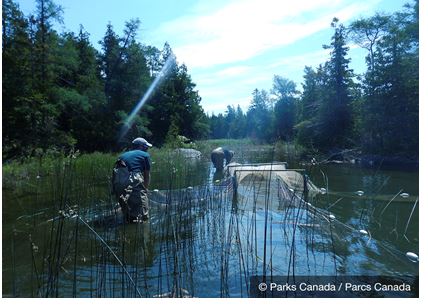 Government of Canada invests in conservation projects at national parks ...
