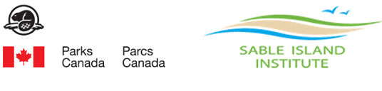 Parks Canada and Sable Island Institute Working Together to Protect ...