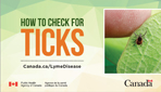 Lyme disease awareness resources - Canada.ca