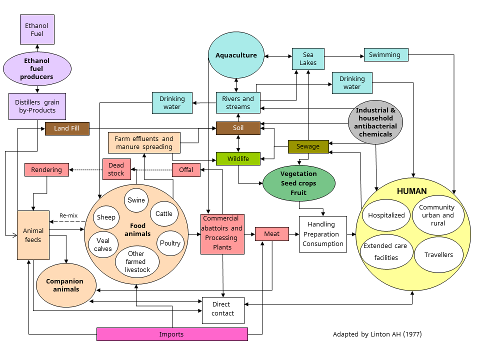 About CIPARS: Canadian Integrated Program for Antimicrobial Resistance ...