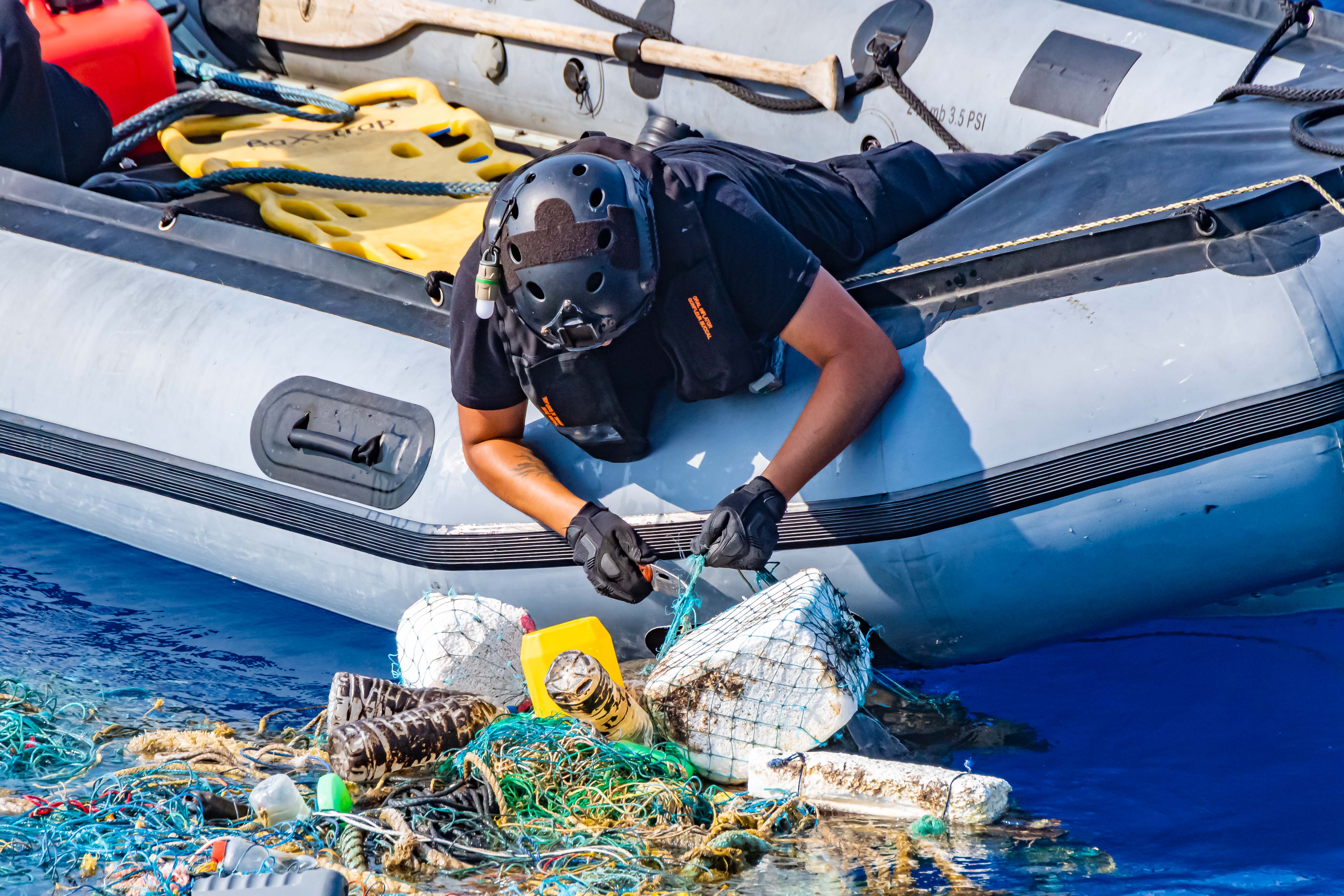 HMCS Calgary saves sea turtle - Canada.ca