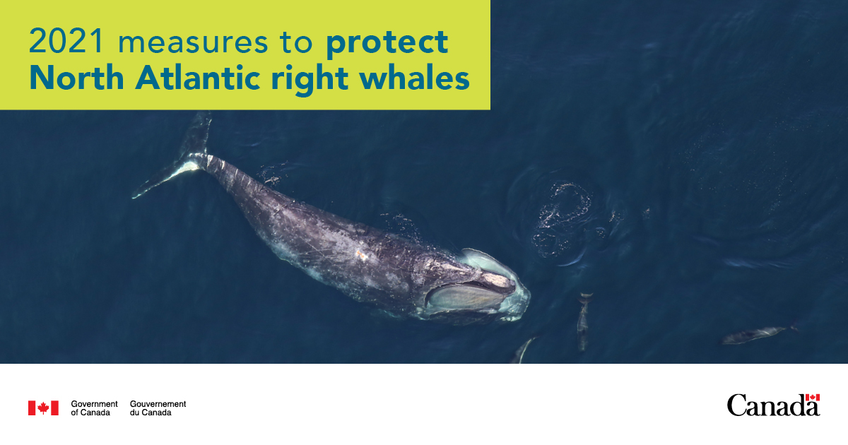 Government of Canada outlines its 2021 measures to protect North ...