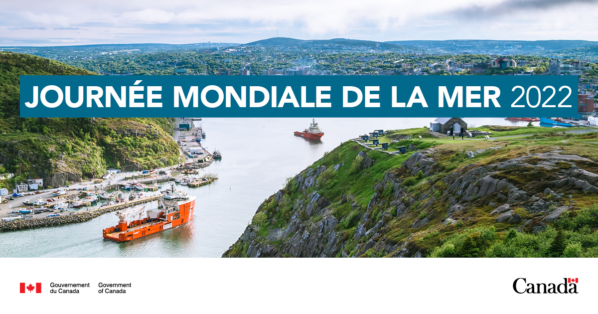 Déclaration du ministre Alghabra à l’occasion de la Journée mondiale de ...