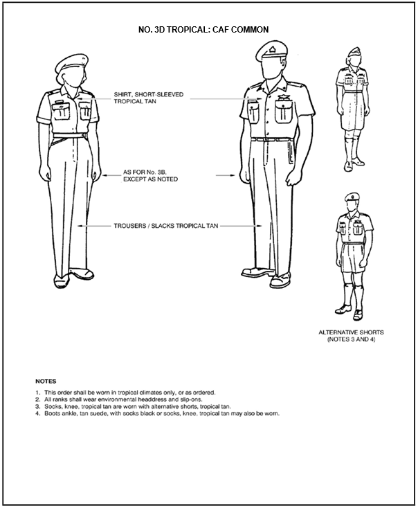 Dress instructions | Annex C Service dress - No. 3 - Canada.ca