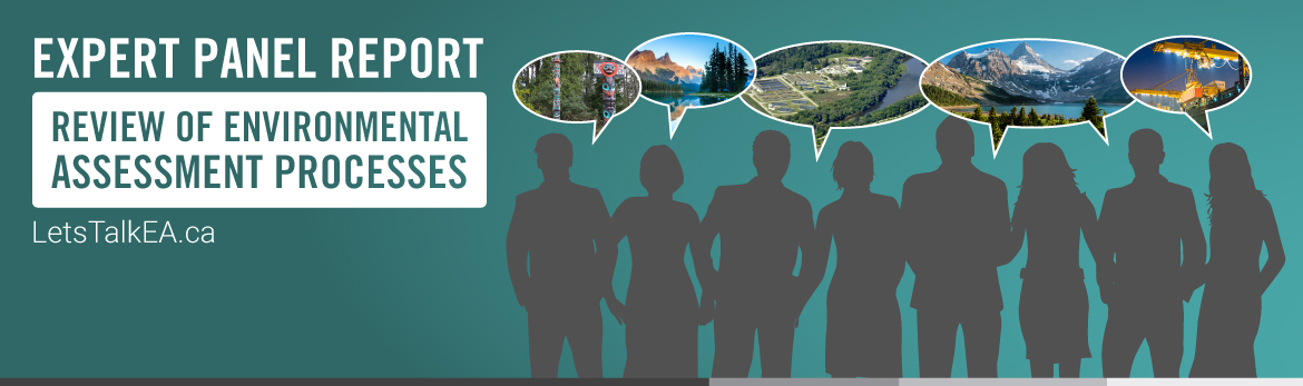 Review of Environmental and Regulatory Processes - Canada.ca